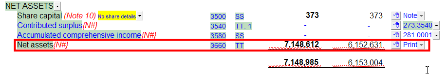 Statement of Financial Position (NFP)
