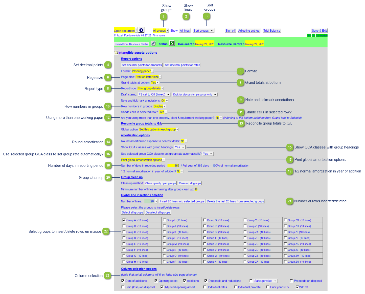 Template Specific Options